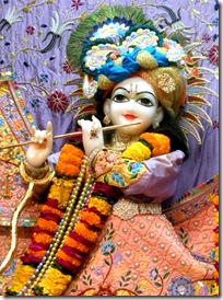 Antaryami – Krishna's Mercy