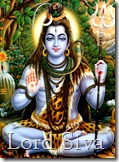 Shiva’s Bow – Krishna's Mercy